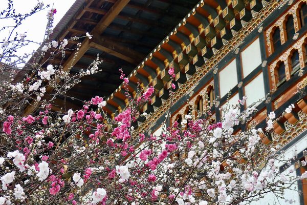 Best Time To Visit Bhutan - Good Season To Travel To Bhutan