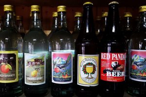 The 7 Best Bhutan Beer Brands | Go Bhutan Tours