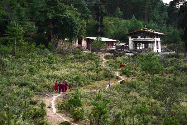 The Best 10 Tourist Attractions In Punakha Go Bhutan Tours