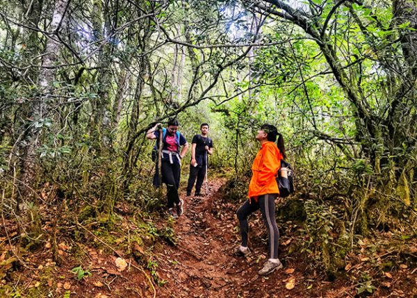 Druk Path Trek – 9 Days